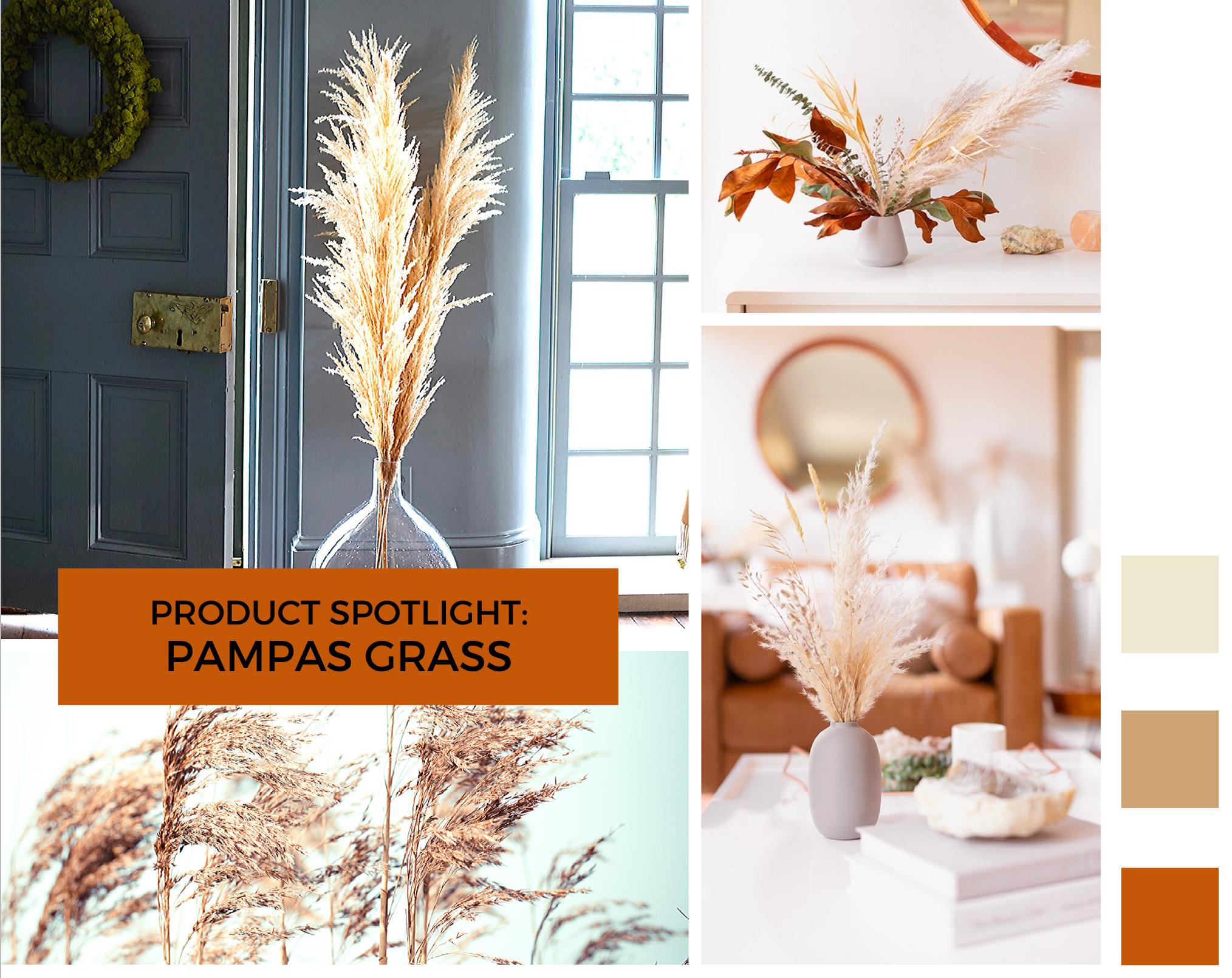 TRENDING: Pampas Grass – Gracefully Restored Home